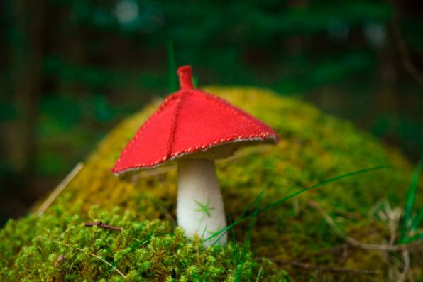 Felt Toadstool - Free Pattern & Tutorial - Miss Daisy Patterns