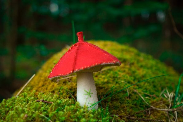 Felt Toadstool - Free Pattern & Tutorial - Miss Daisy Patterns