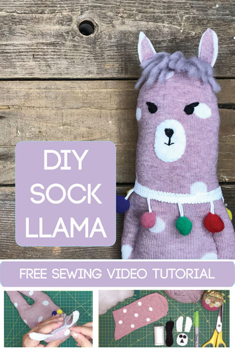 How to Make a Sock Cat - Miss Daisy Patterns